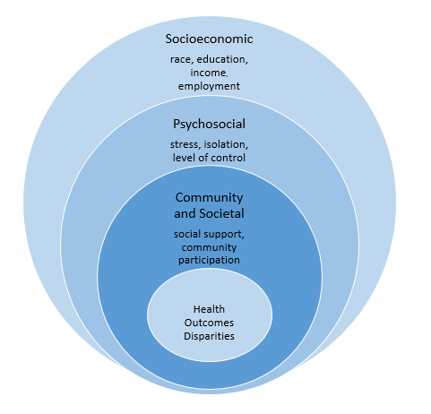 Social Determinants of Health | Including People with Disabilities ...